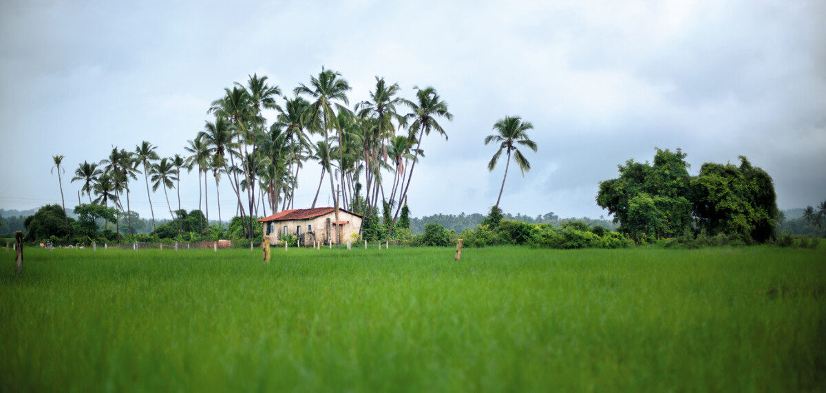 Why you should visit NORTH GOA in Monsoon! | Zense Resort